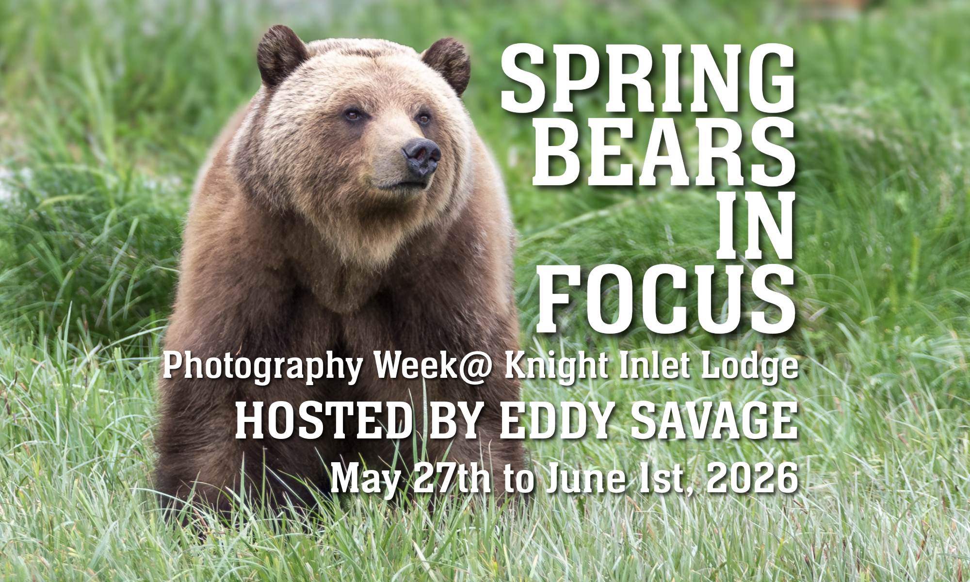 Wild Bears of Canada: Black Bears, Polar Bears, and Grizzly Bears